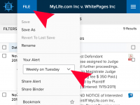 Case Monitoring – Docket Navigator